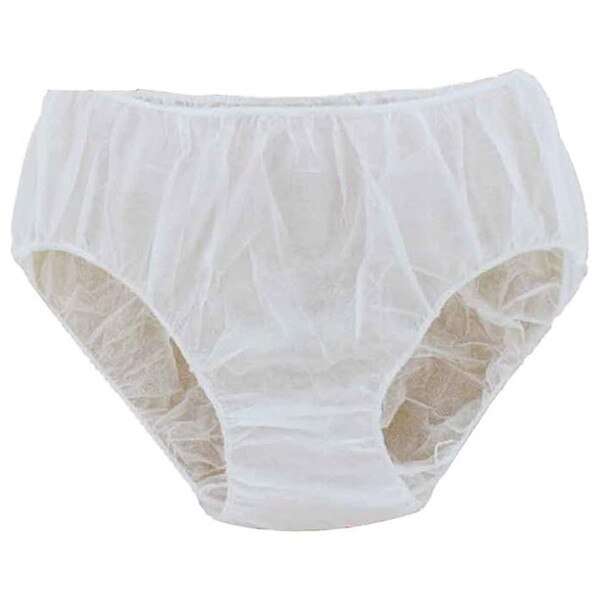 DISPOSABLE MESH BRIEFS | ICS Jail Supplies